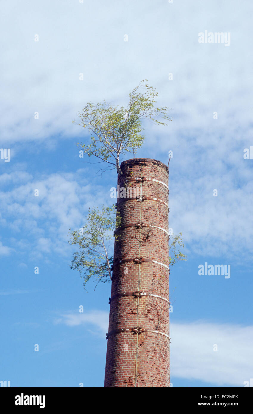 Old smokestack with trees on the top Stock Photo - Alamy