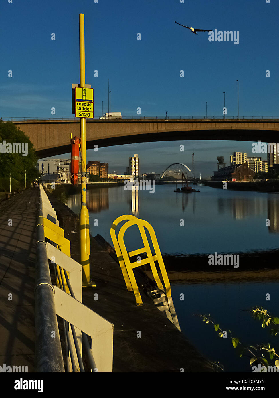 Rescue ladder and seagull Stock Photo - Alamy