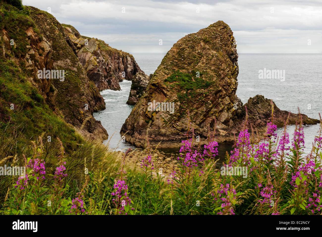 Bullars of Buchan rock stack, Aberdeenshire, Scotland Stock Photo - Alamy