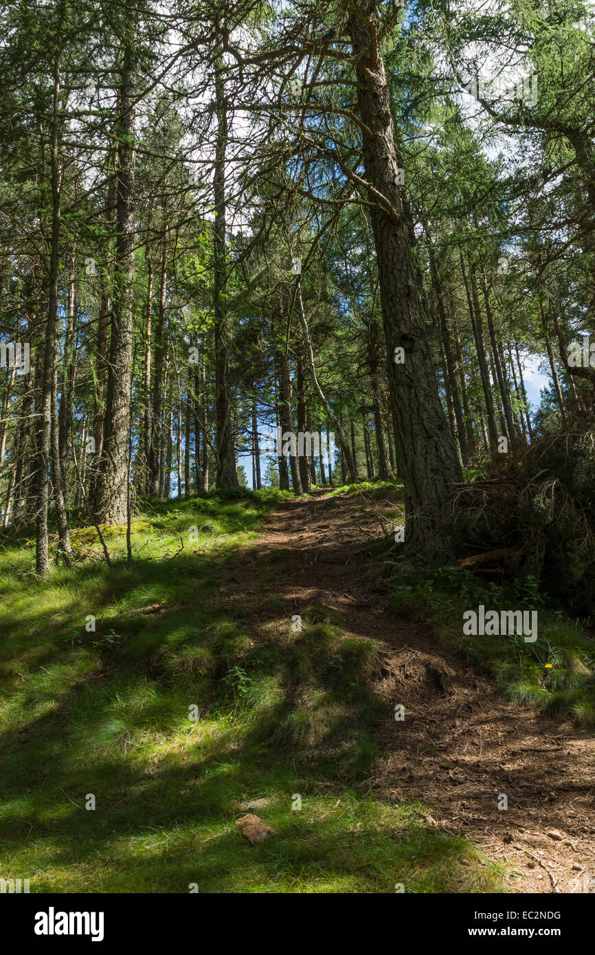 Through aberdeenshire hi-res stock photography and images - Alamy