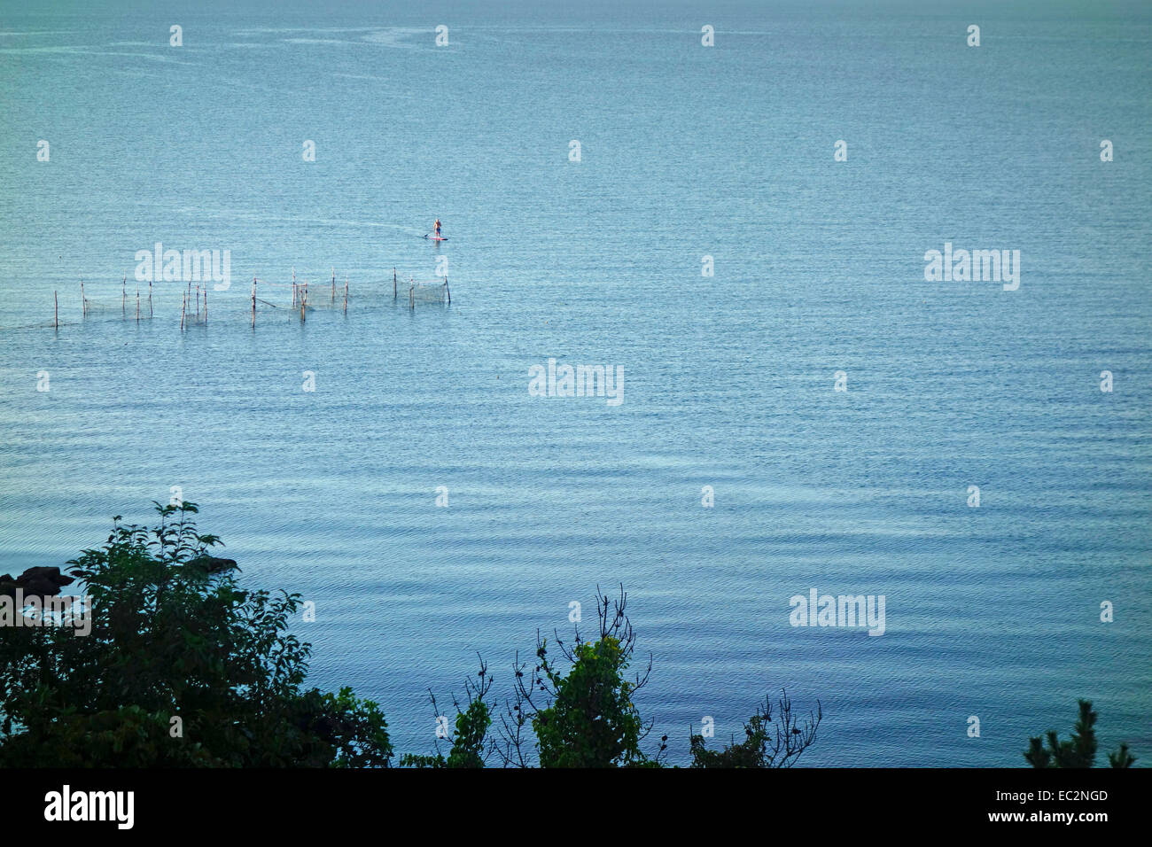 fishing nets in fort pond bay in Montauk long island Stock Photo - Alamy