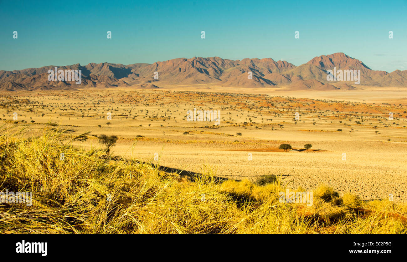 Africa, Namibia. Tok Tokkie Trails. View during hike Stock Photo - Alamy