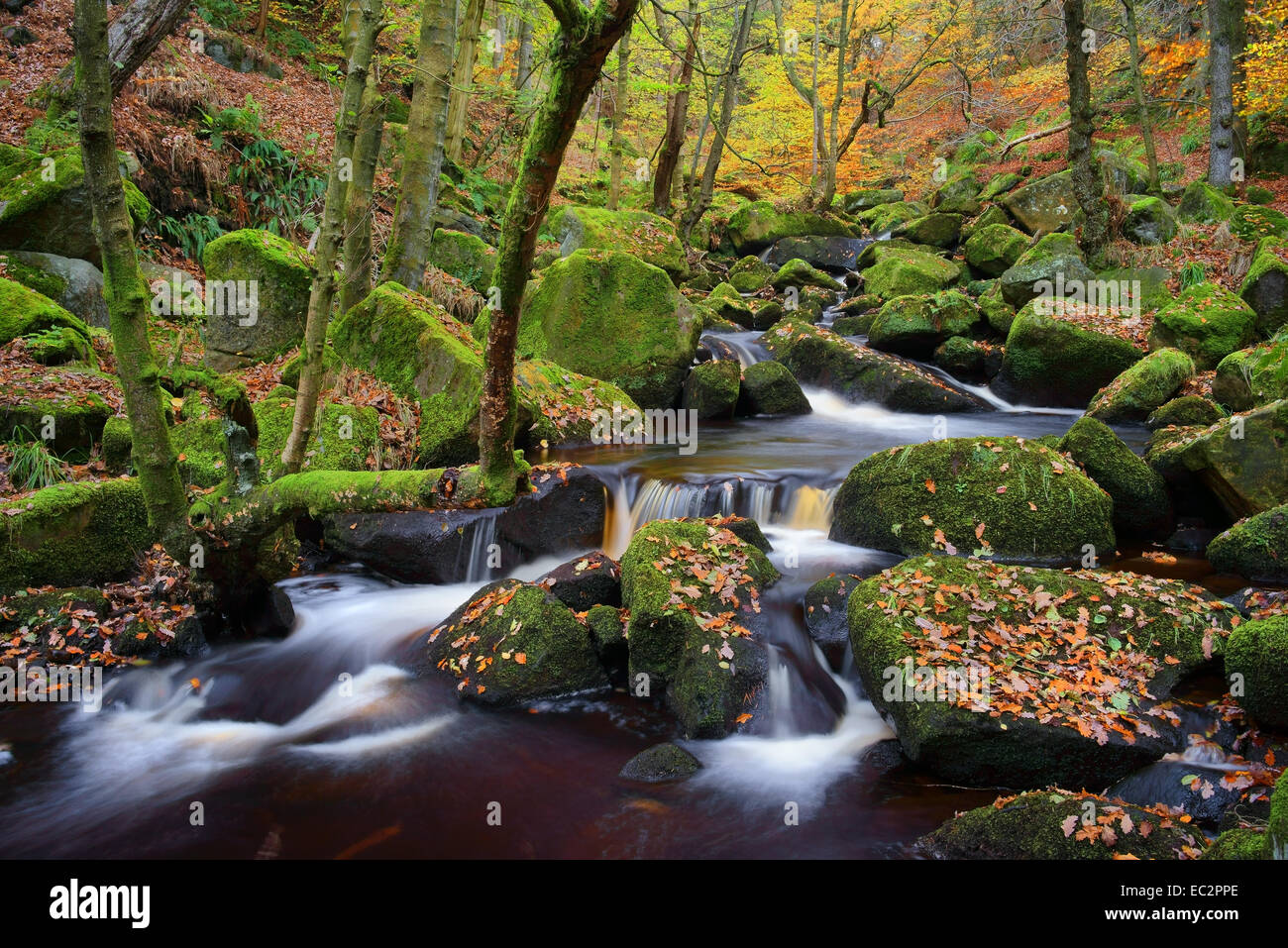 Uk Derbyshire Peak District Padley Gorge Waterfalls In Autumn Stock