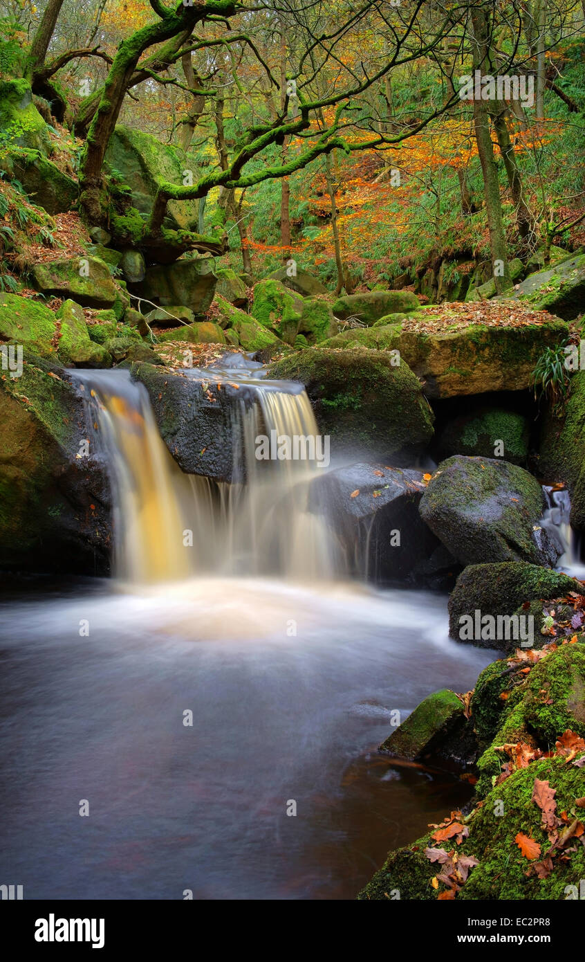 UK,Derbyshire,Peak District,Padley Gorge Waterfalls in Autumn Stock ...