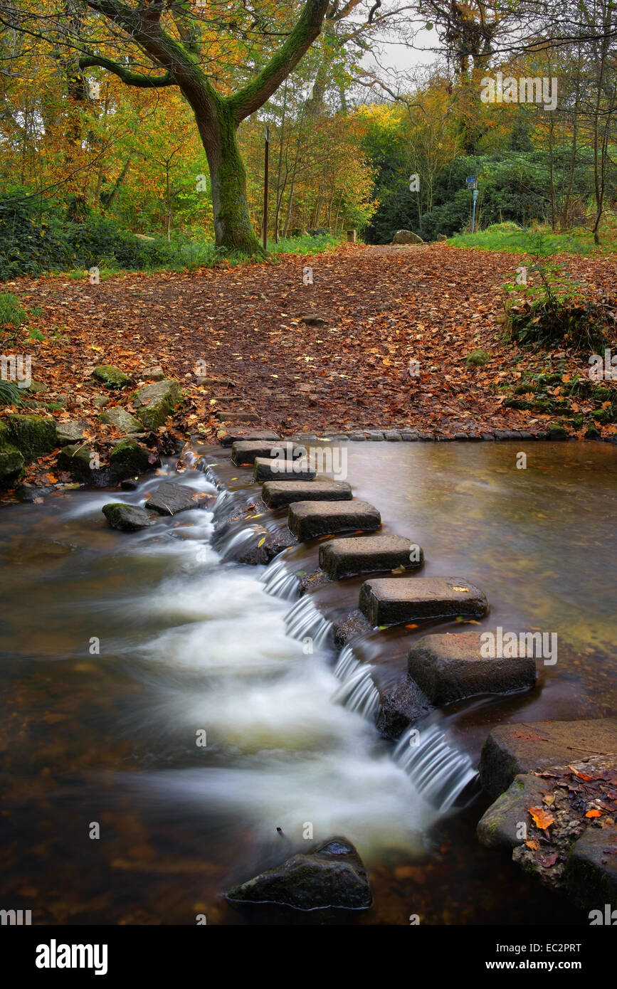 Sheffield stepping stones hi-res stock photography and images - Alamy