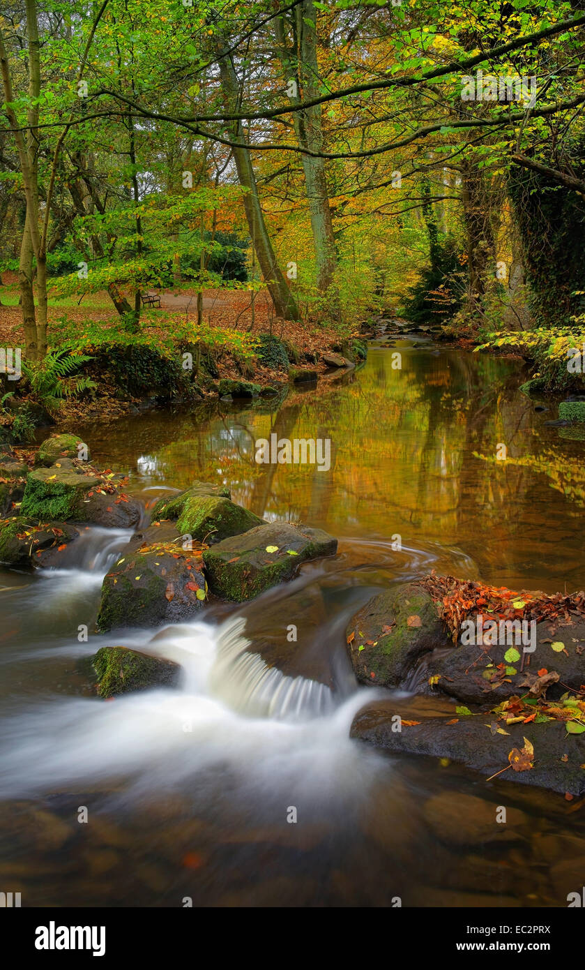 UK, South Yorkshire, Sheffield, Endcliffe Park, Porter Brook Waterfall ...