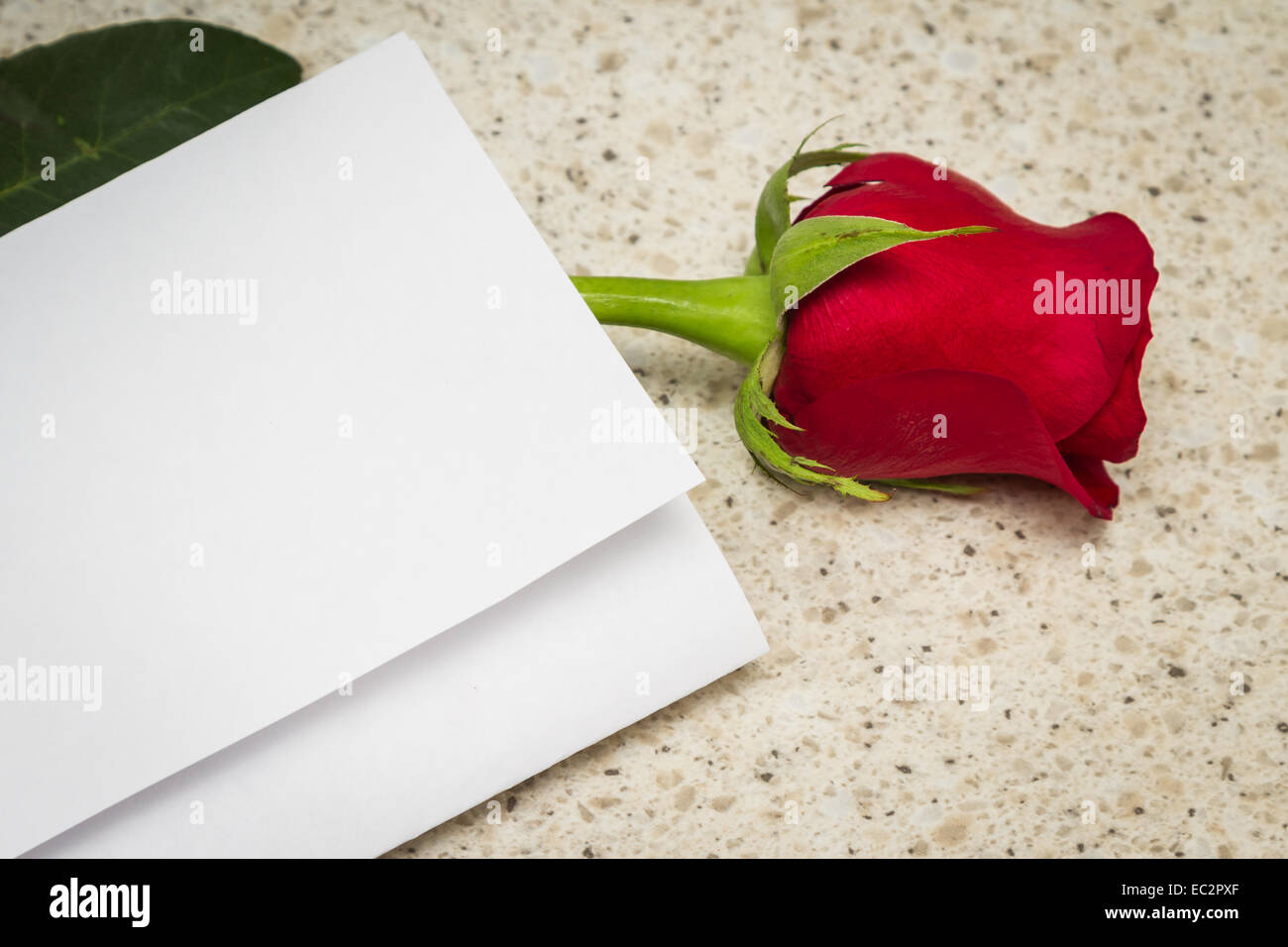 blank note and a single long stem red rose on a kitchen table of a love ...