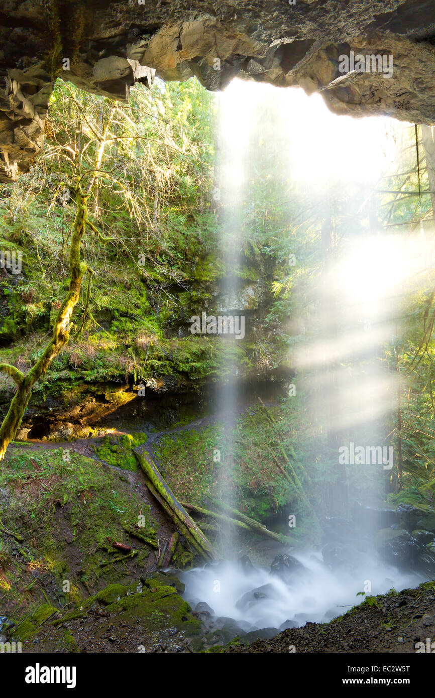 Looking Out From Behind The Waterfall, Oregon, USA Stock Photo - Alamy