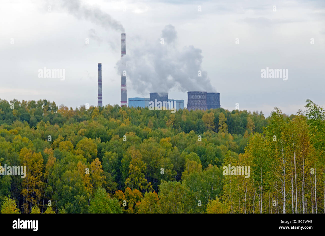 Fuel station and forest hi-res stock photography and images - Alamy