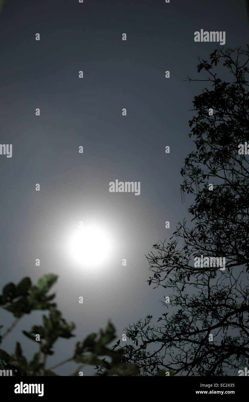 Moonrise in the light shining in the night sky Stock Photo - Alamy