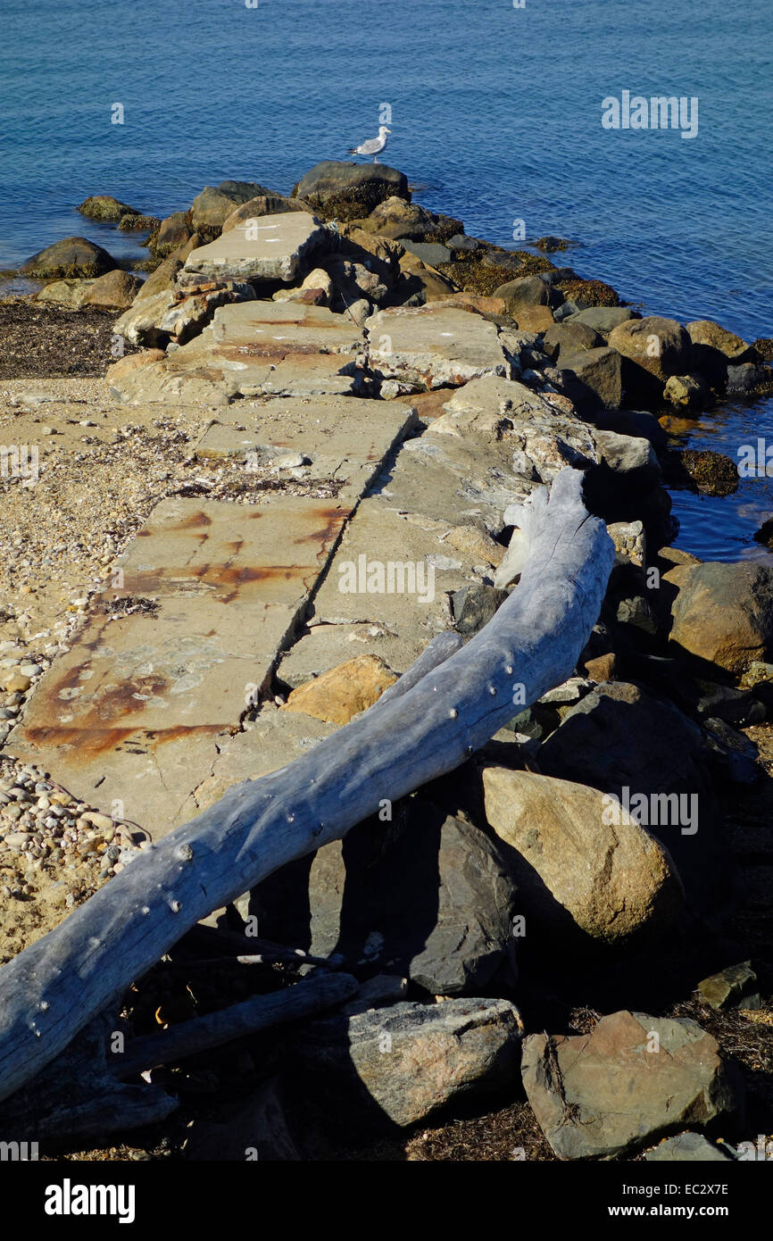 Montauk fort pond bay hi-res stock photography and images - Alamy