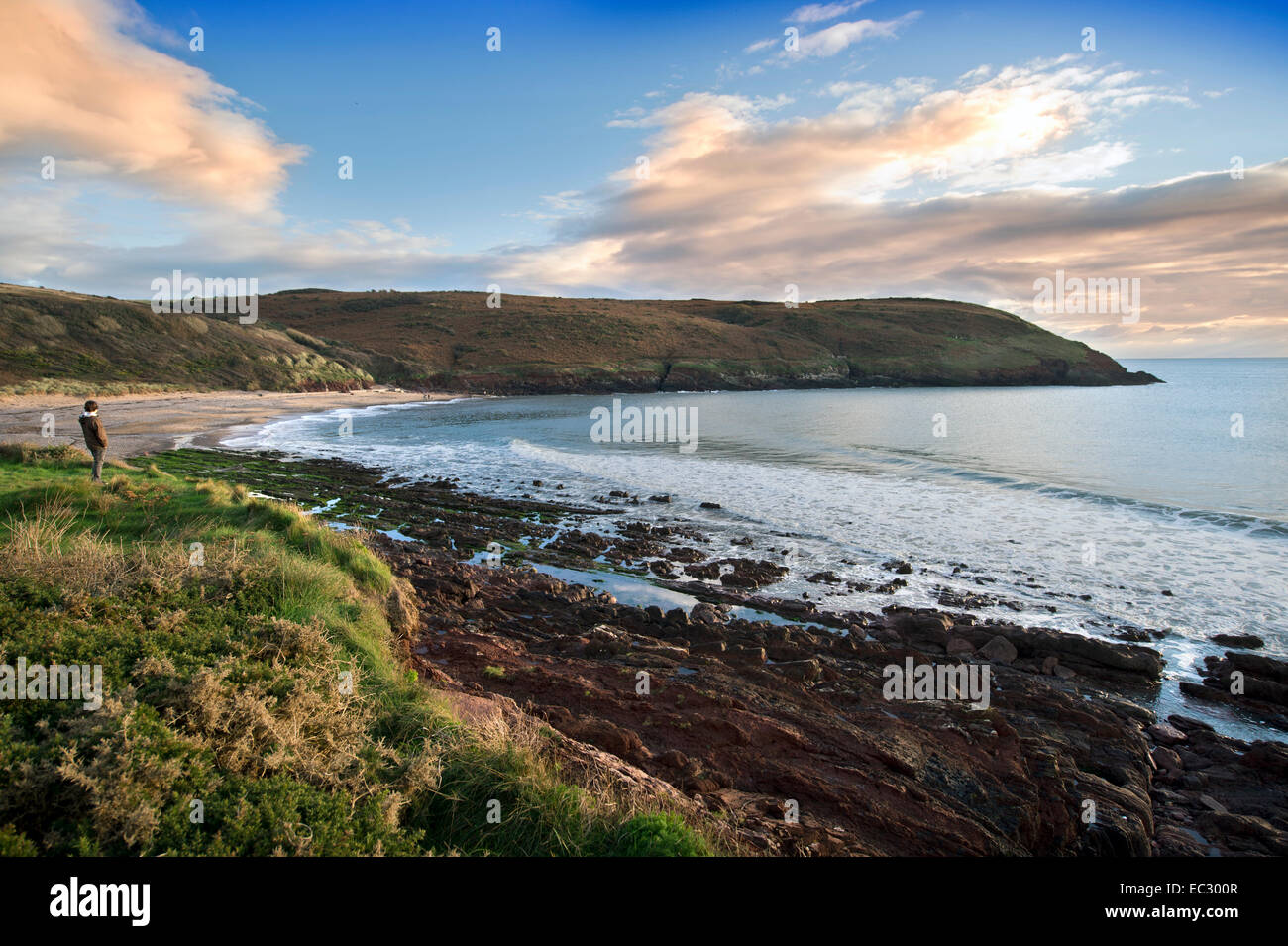 Manorbier Bay near Tenby in Pembrokeshire, Wales UK Stock Photo - Alamy