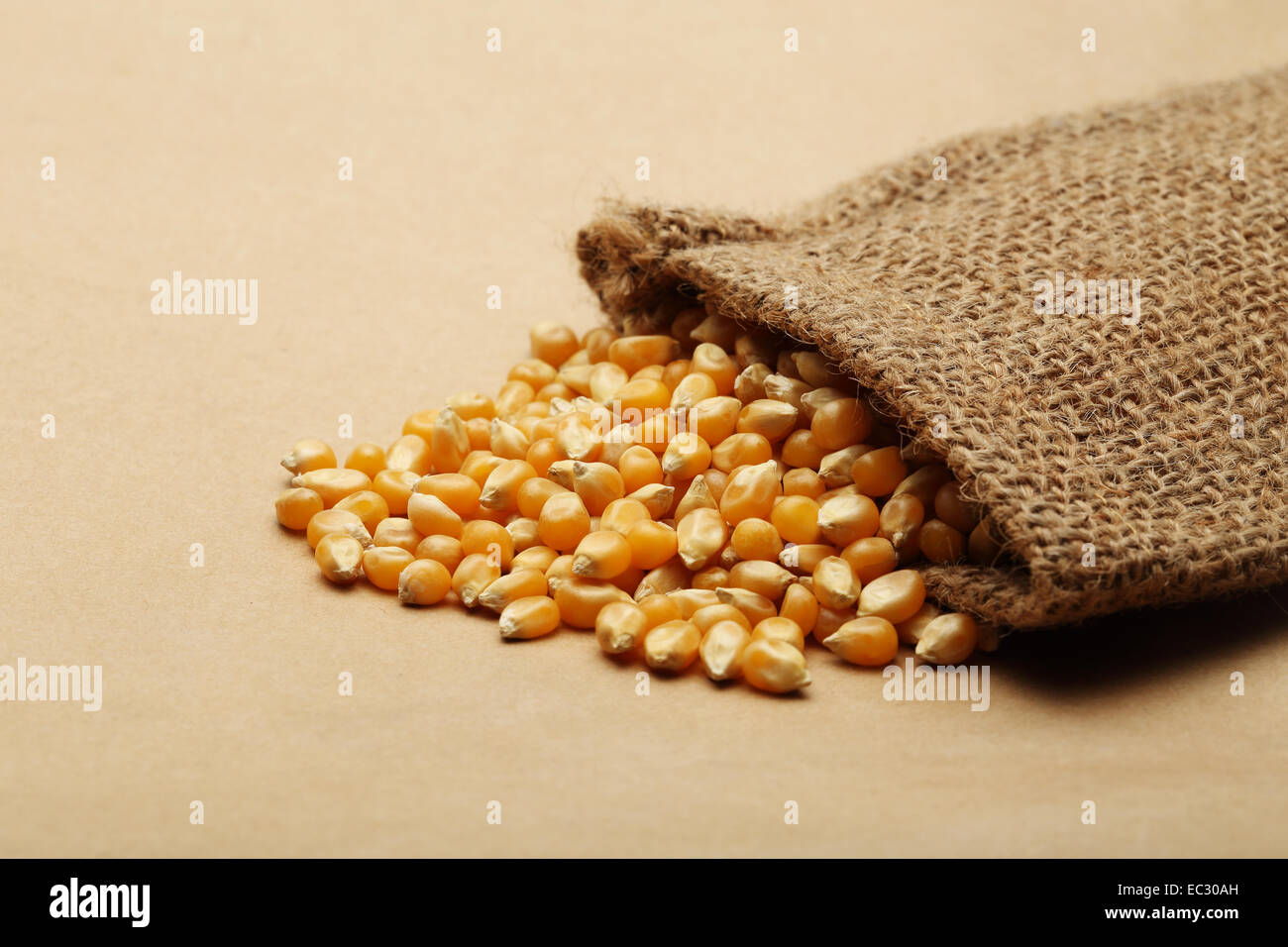 The grain corn in small sack Stock Photo - Alamy