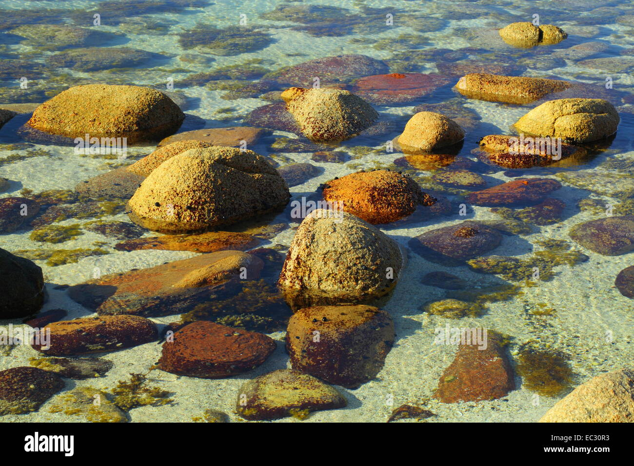 Granite boulders and rocks among a tidal pool on the shore at The ...