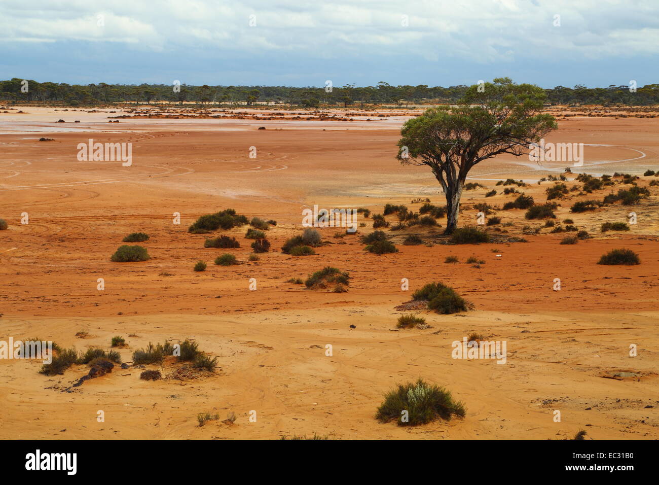 A dry lake receives a little rain in the western nullarbor plain region ...