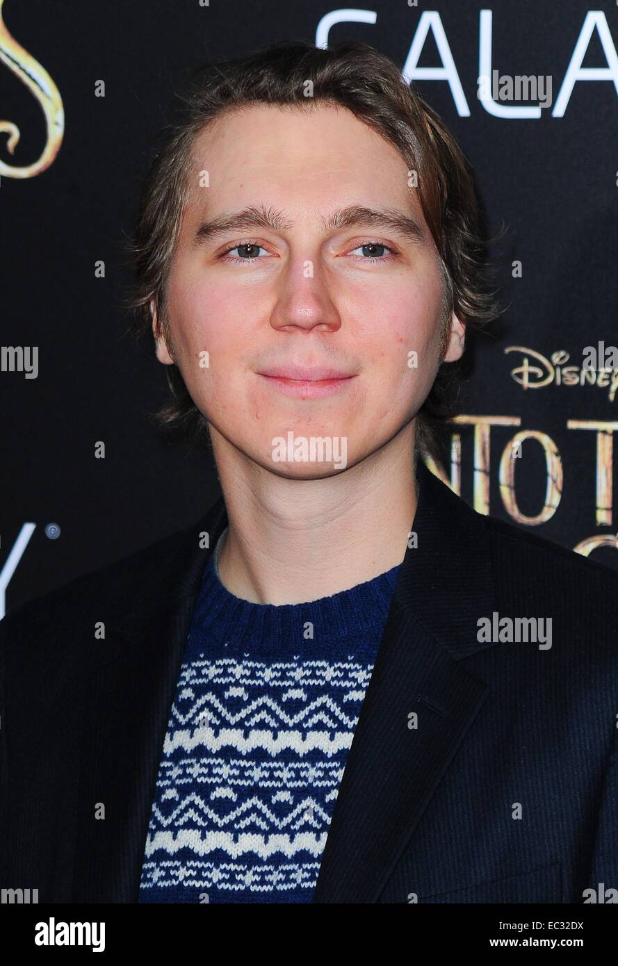 New York, NY, USA. 8th Dec, 2014. Paul Dano at arrivals for INTO THE ...