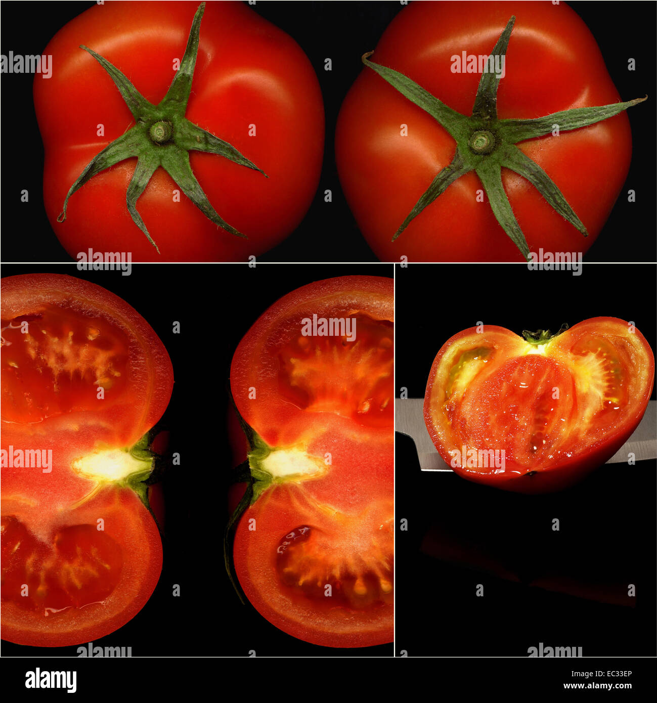 tomatoes collage composition nested on a black square frame Stock Photo ...