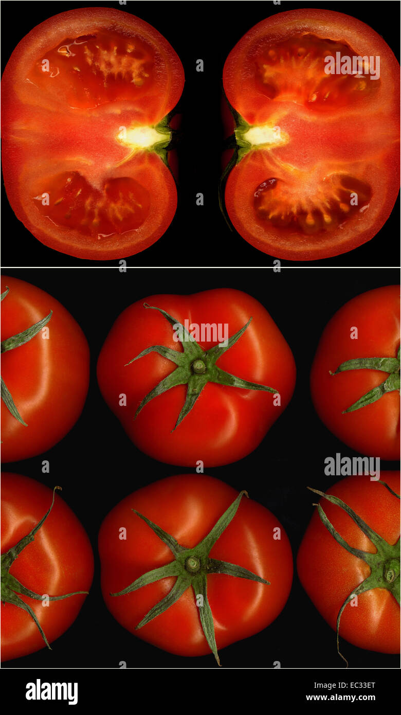 tomatoes collage composition nested on a black square frame Stock Photo ...