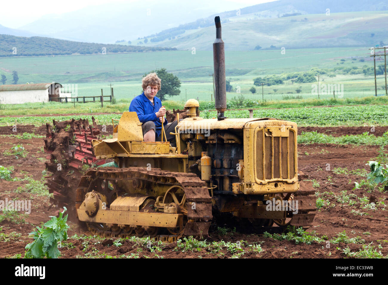 Unknown man demonstrating Vintage Caterpillar Diesel Forty at Natal ...