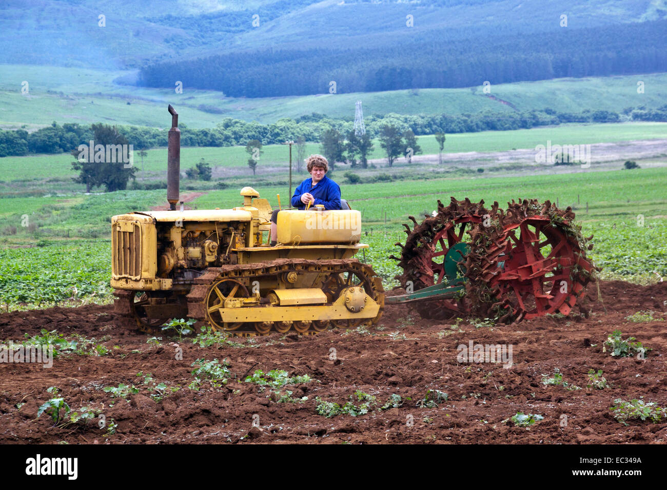 Vintage Caterpillar Diesel Forty at Natal Vintage Tractor and Machinary ...