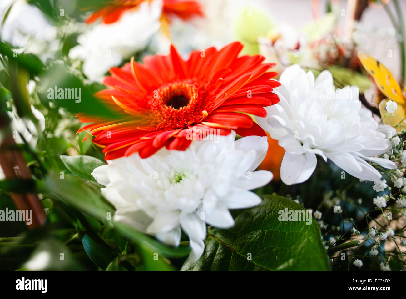 Flower background hi-res stock photography and images - Alamy