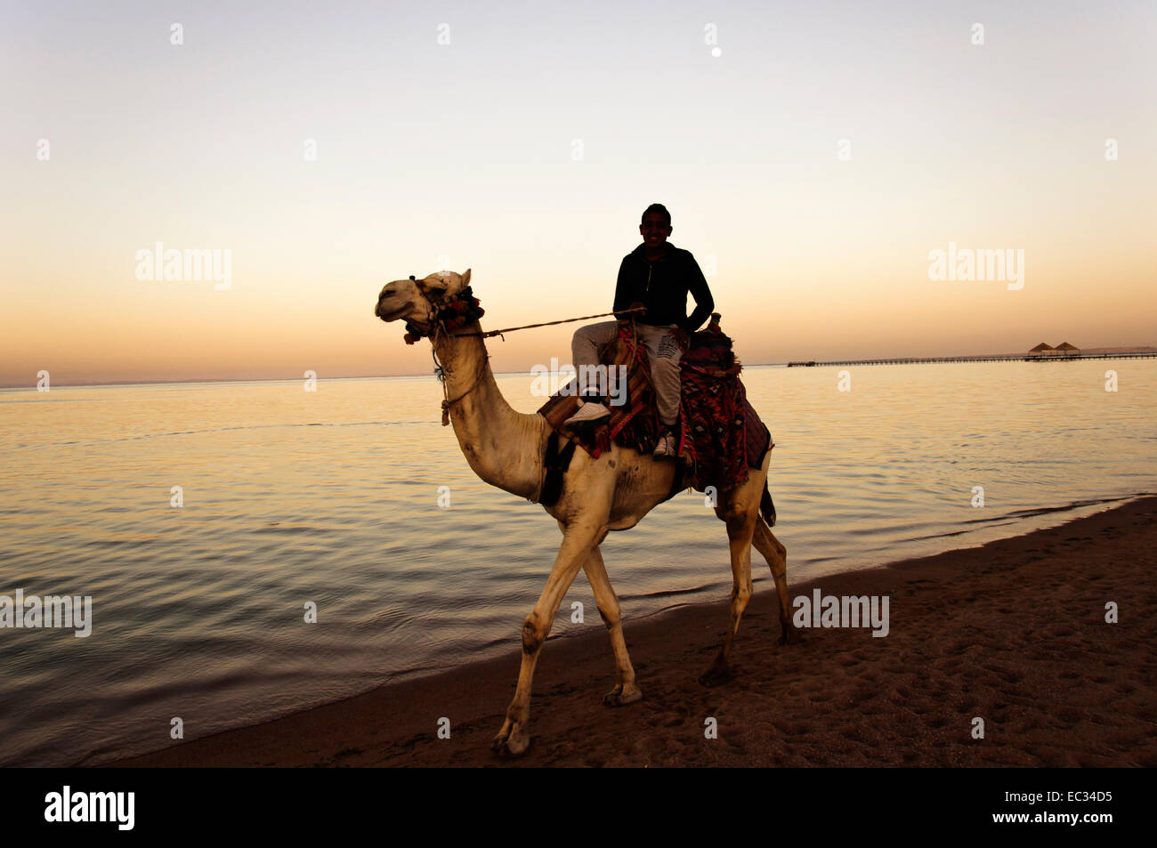 Rider and camel hi-res stock photography and images - Alamy