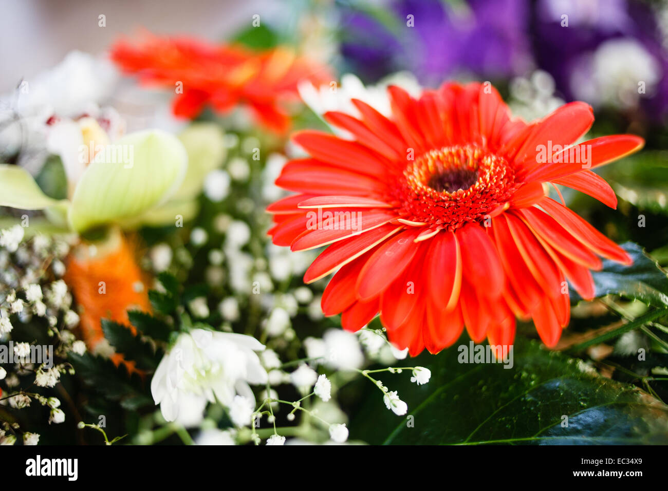 Flower background hi-res stock photography and images - Alamy