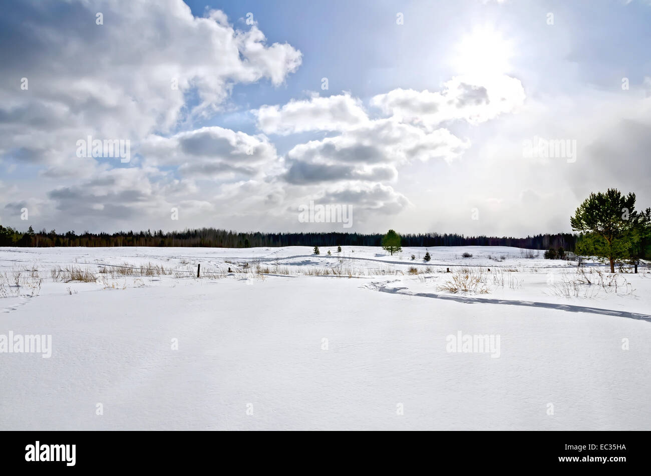 Winter field and forest Stock Photo - Alamy