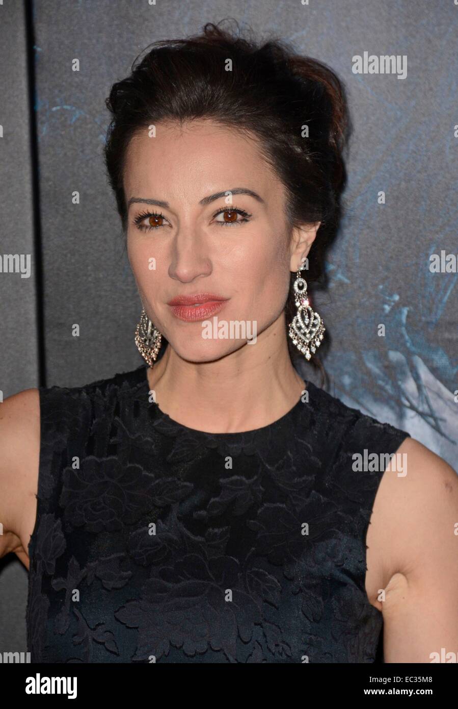 New York, NY, USA. 8th Dec, 2014. America Olivo at arrivals for INTO ...