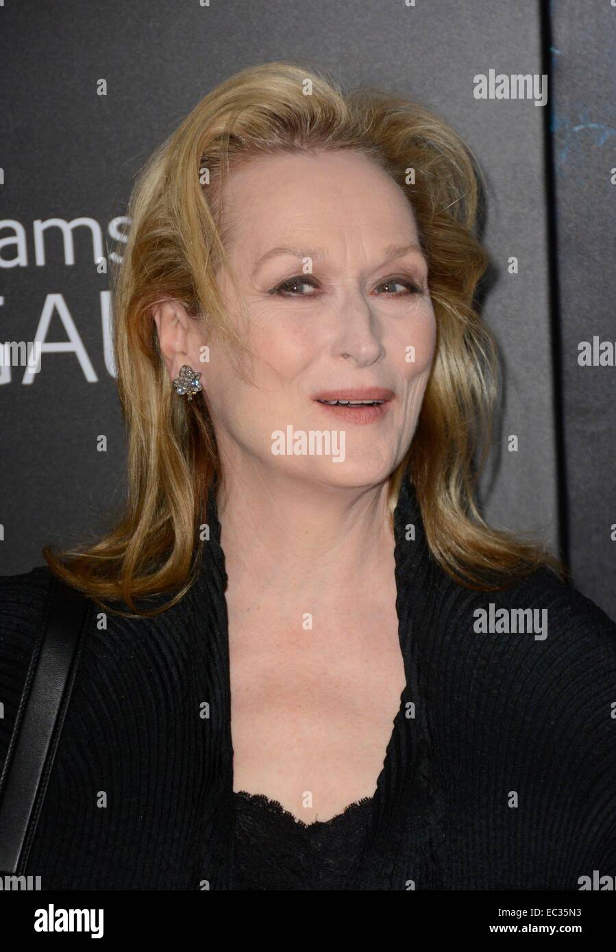 New York, NY, USA. 8th Dec, 2014. Meryl Streep at arrivals for INTO THE ...