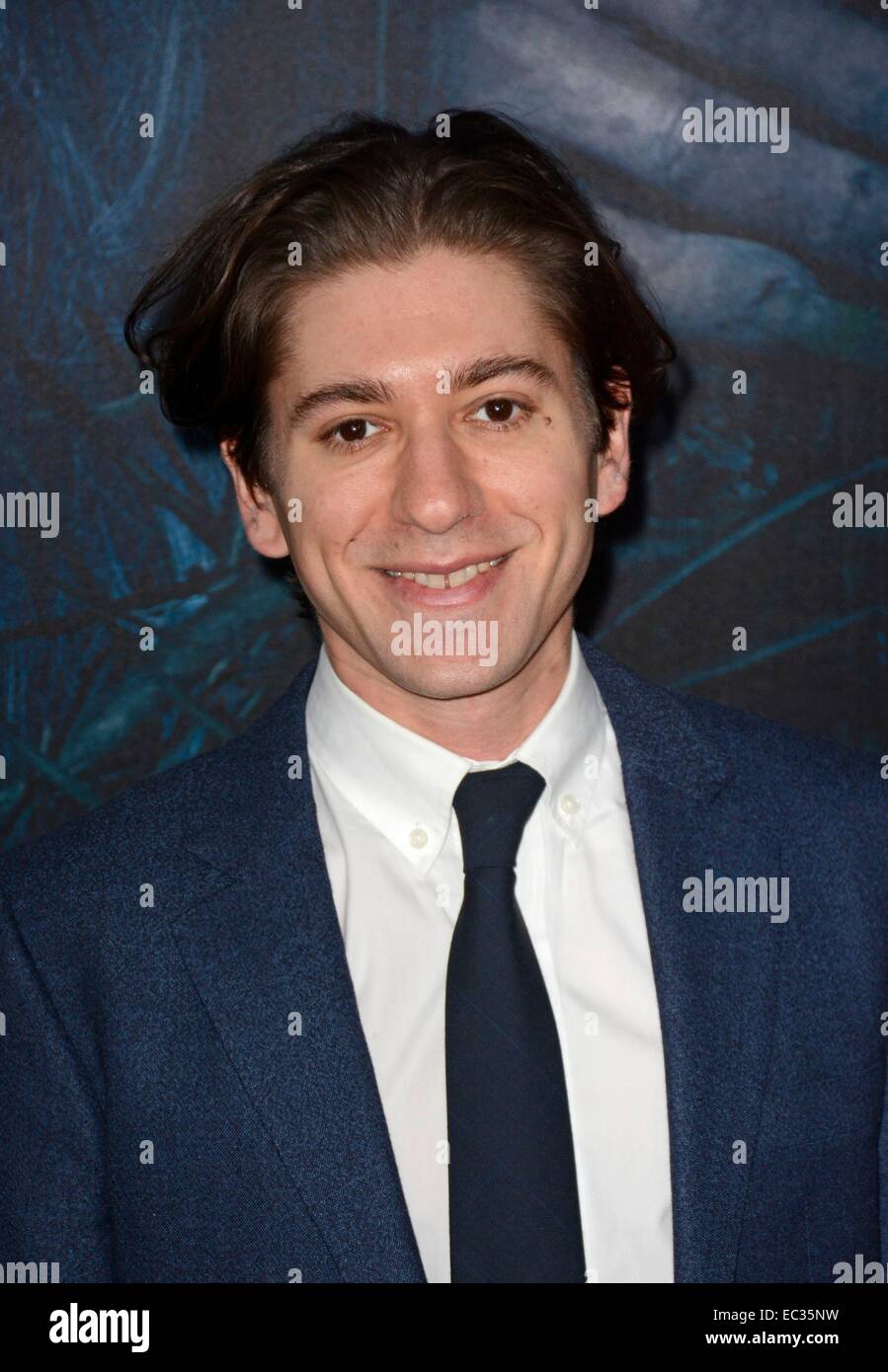 New York, NY, USA. 8th Dec, 2014. Michael Zegen at arrivals for INTO ...
