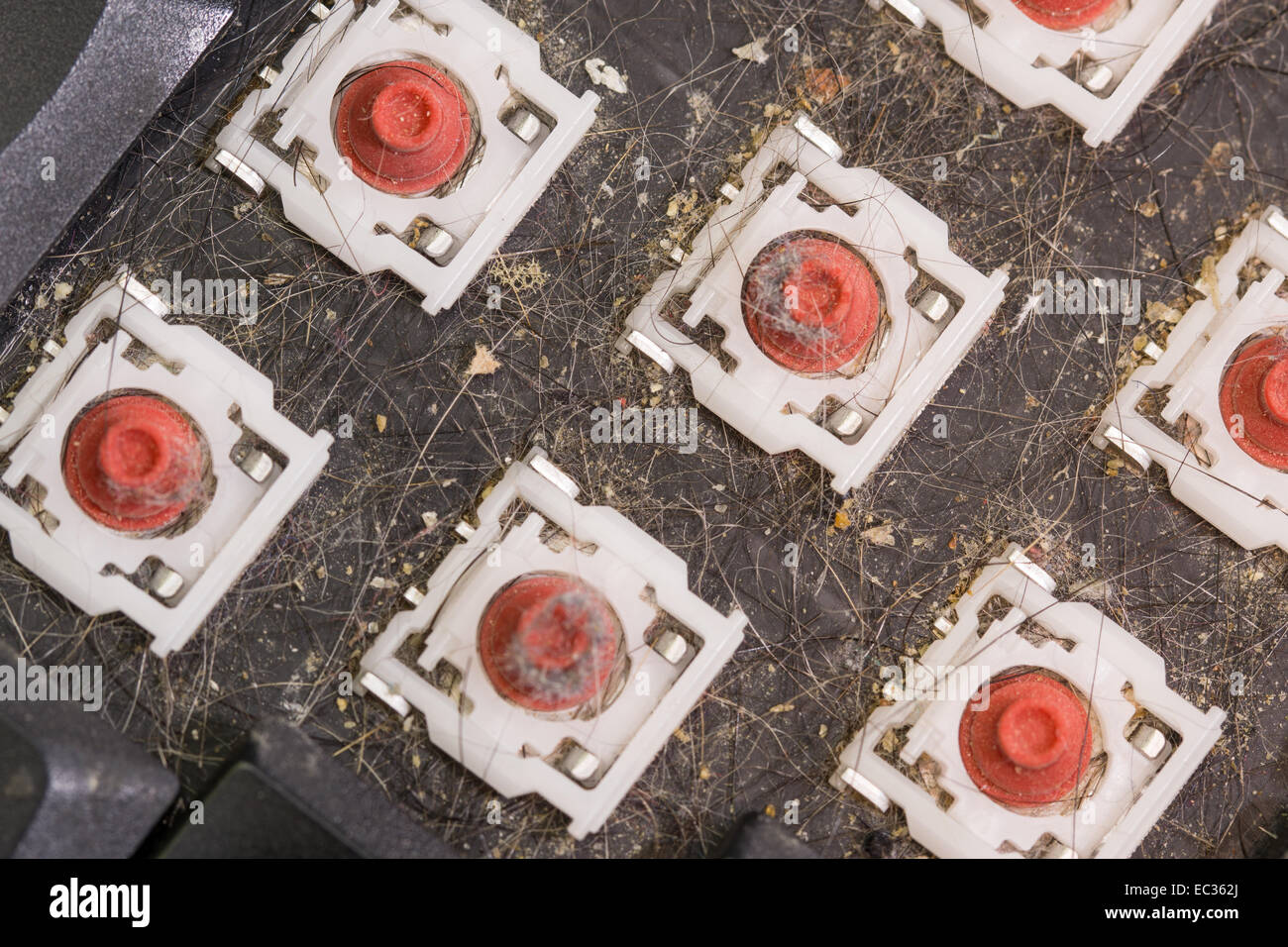 Top view of dismantled dirty keyboard, closeup Stock Photo - Alamy