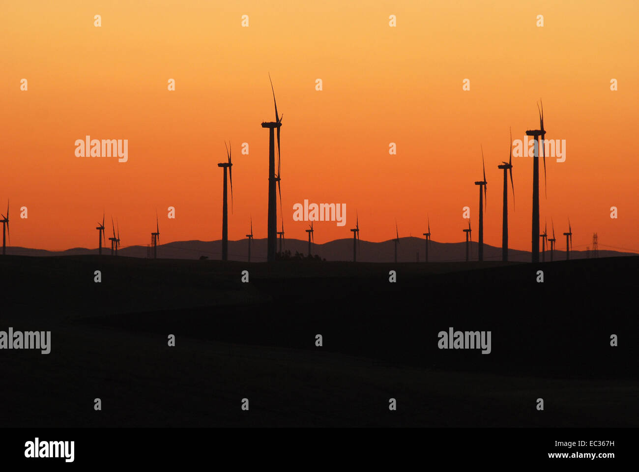 Wind farm at sunset Stock Photo - Alamy
