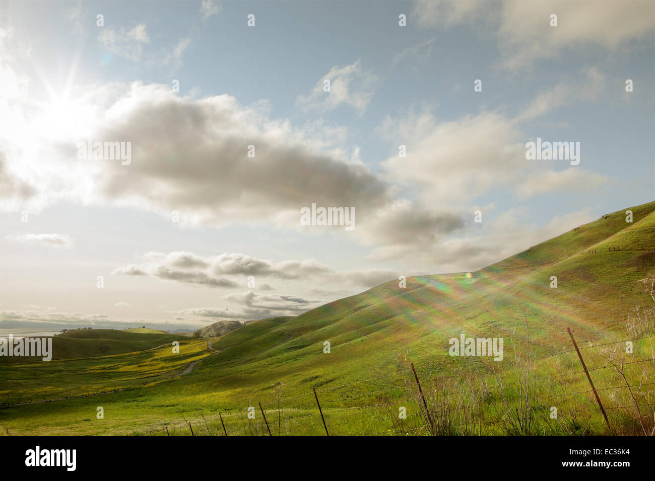 panoramic view of nice green hill on blue sky background Stock Photo ...