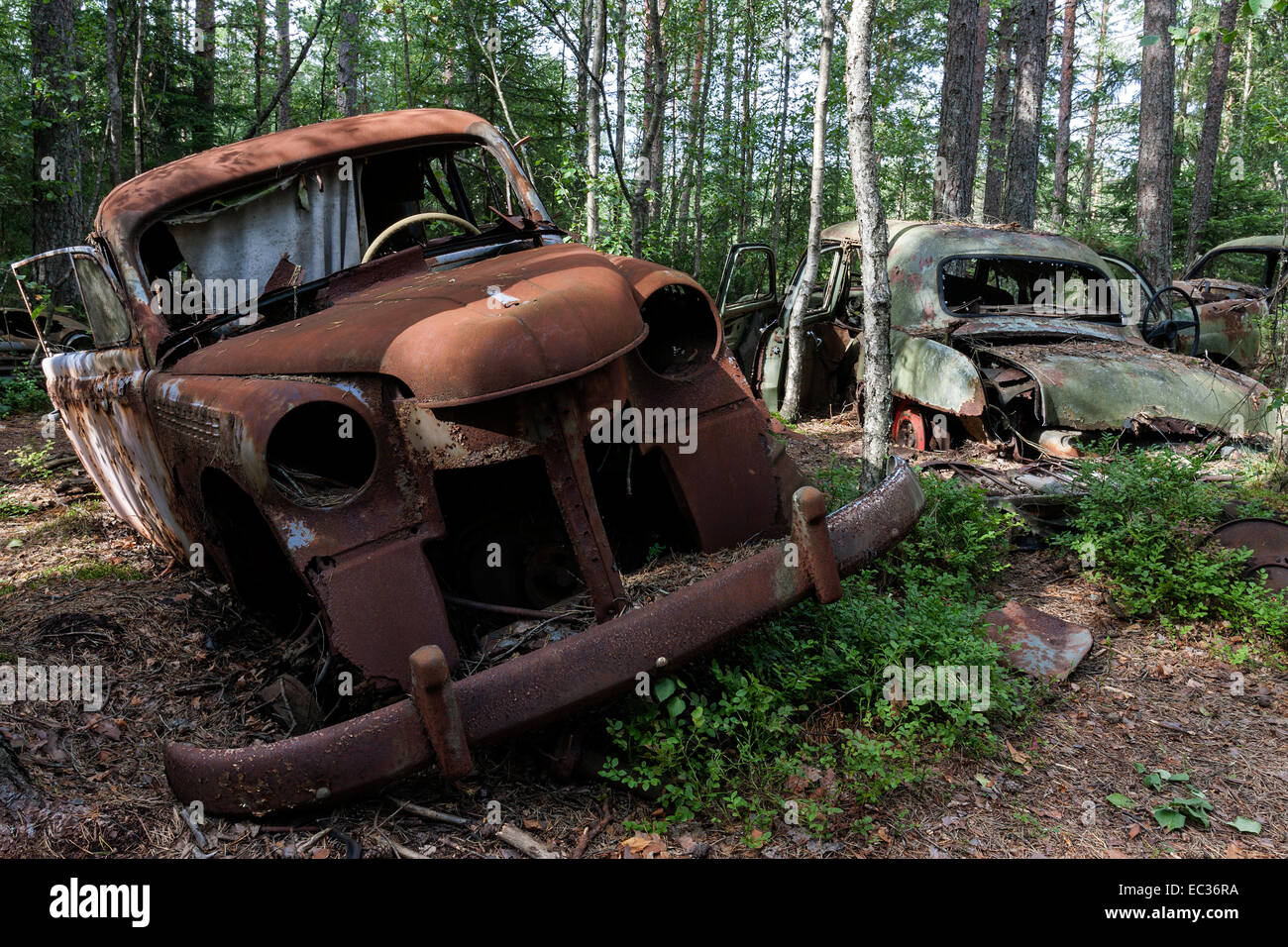 Junkyard in the forest, junk cars, 40s in Ryd, Småland, Sweden Stock ...