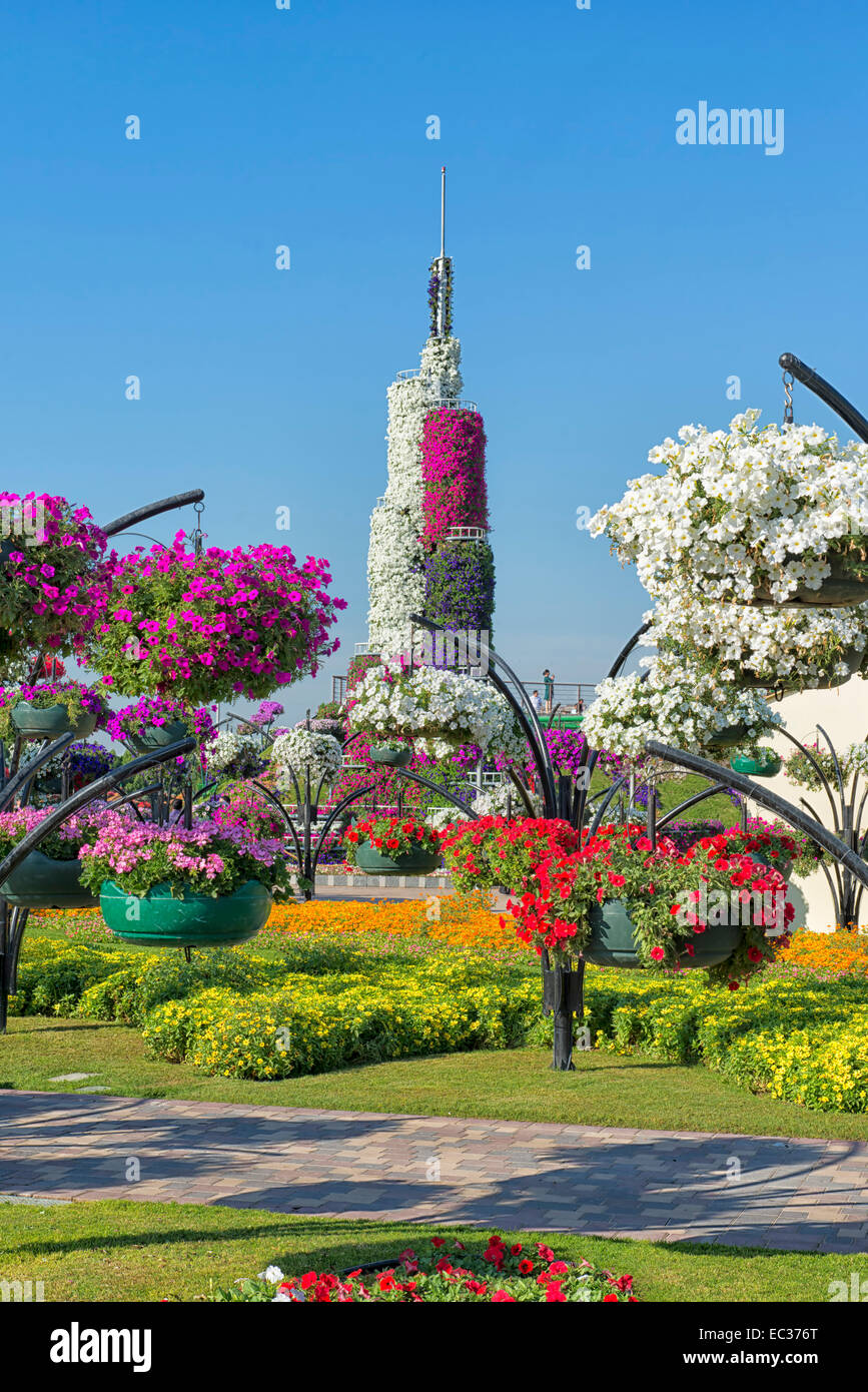 Miracle Garden in Dubai, UAE Stock Photo - Alamy