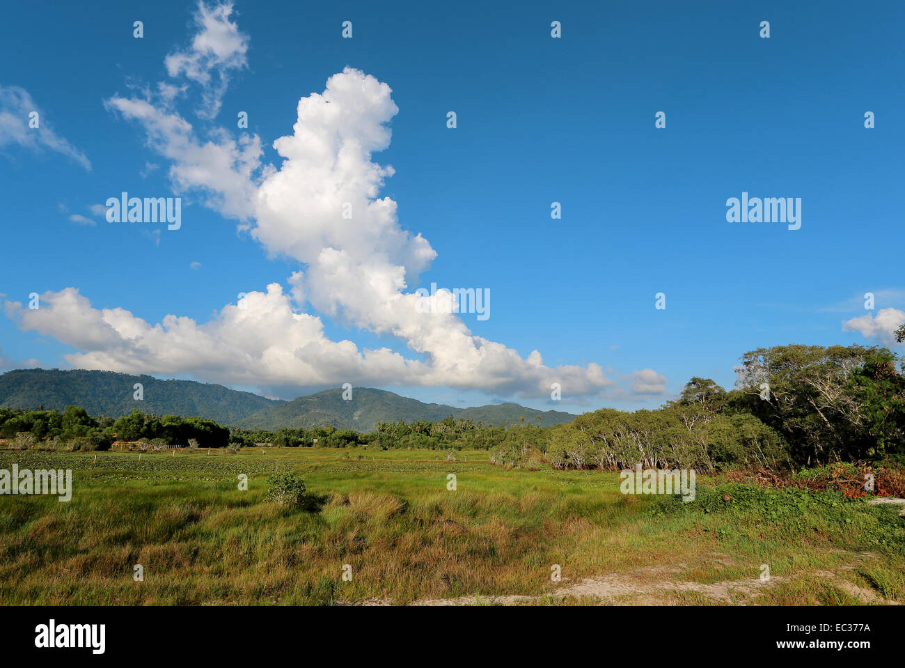 Exotic a tropical landscape with beautiful cloud Stock Photo - Alamy