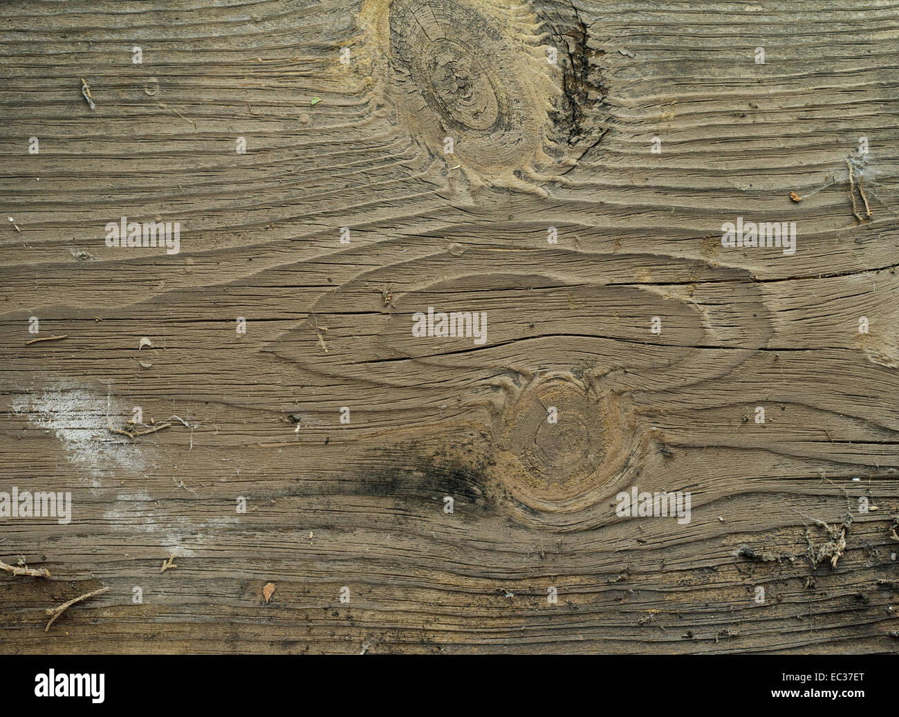close up view of old dusty piece of wood background Stock Photo - Alamy