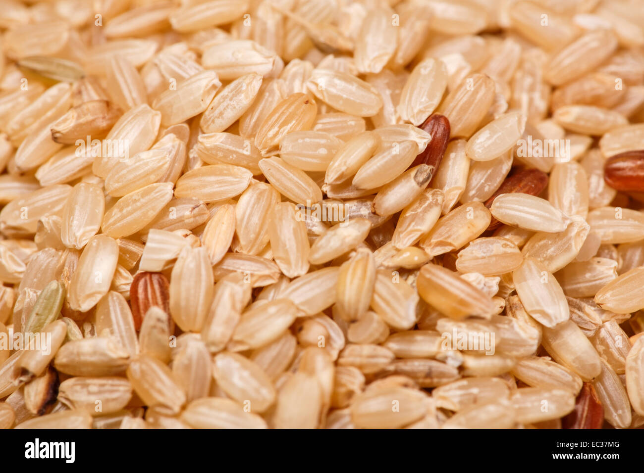 close-up brown rice grains background Stock Photo - Alamy