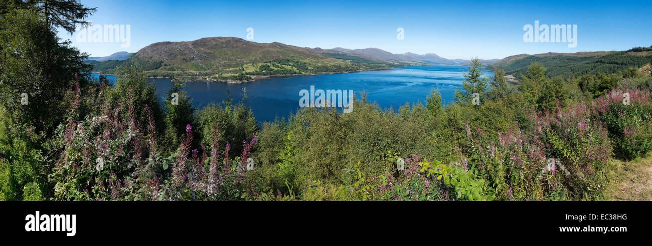 Panorama, landscape at Loch Carron, Scotland, United Kingdom Stock ...
