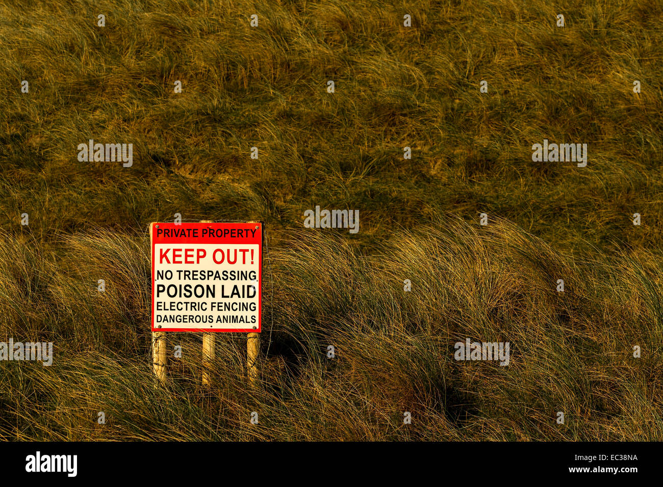 Irish sign grass hi-res stock photography and images - Alamy