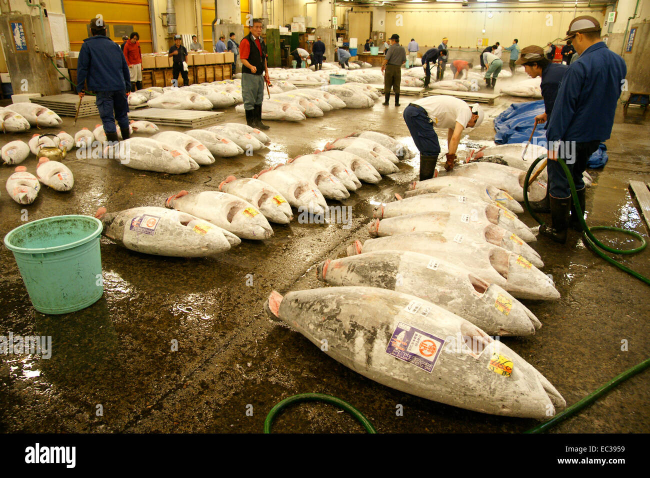 japanese fish market Stock Photo - Alamy