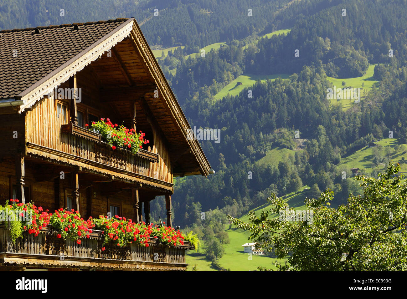 Alm in Austria Stock Photo - Alamy