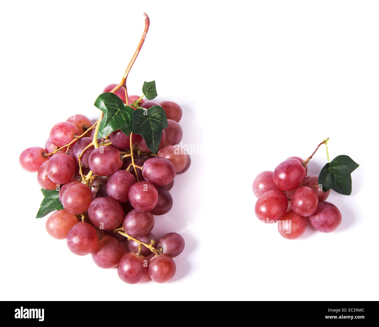 Red green grapes harvesting Cut Out Stock Images & Pictures - Alamy