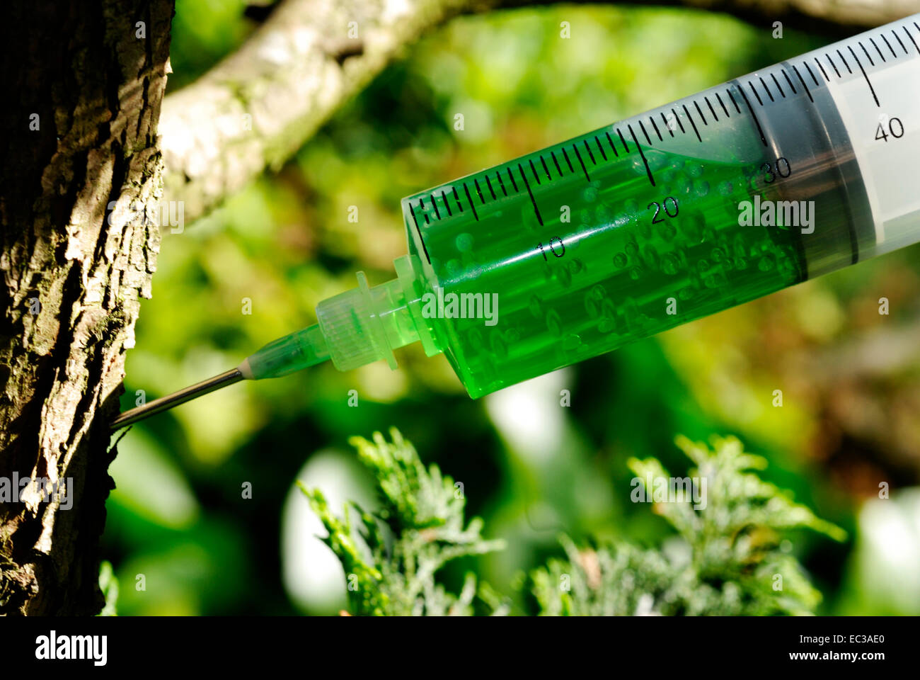 Tree Injection High Resolution Stock Photography and Images - Alamy