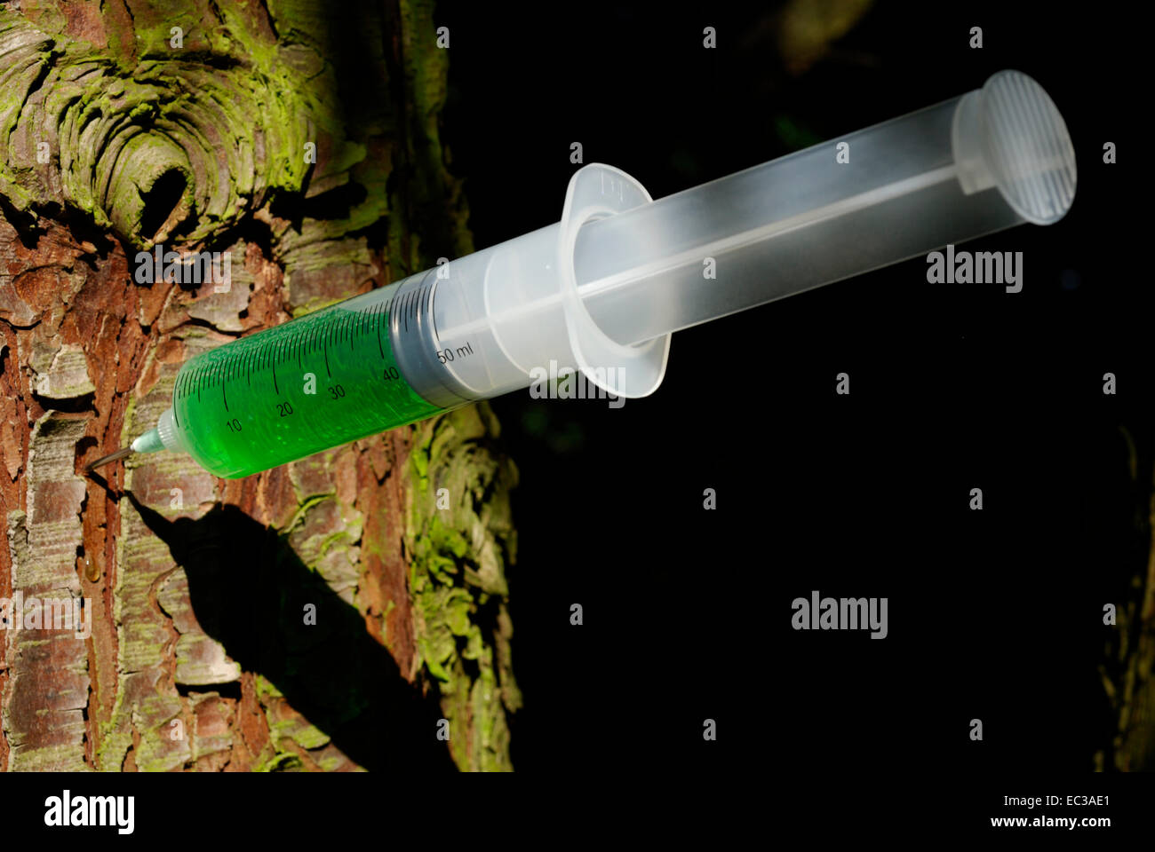 Tree injection hi-res stock photography and images - Alamy