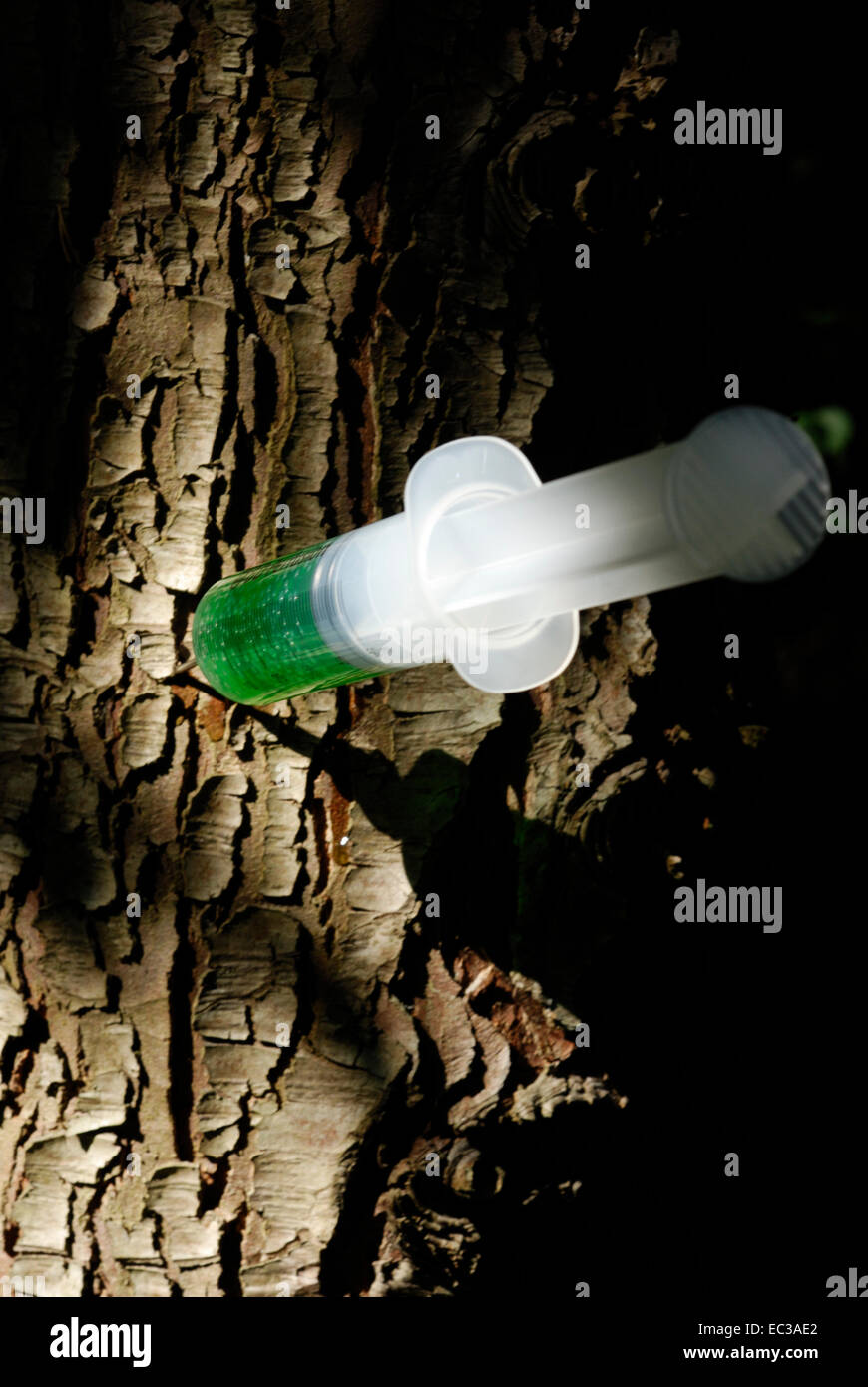 Injection in tree hi-res stock photography and images - Alamy