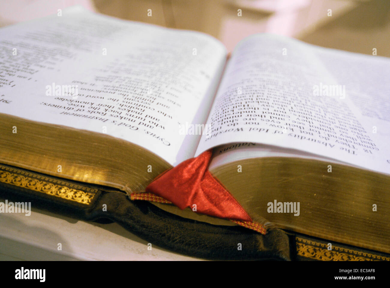 Open Book, National Library New York, USA Stock Photo - Alamy