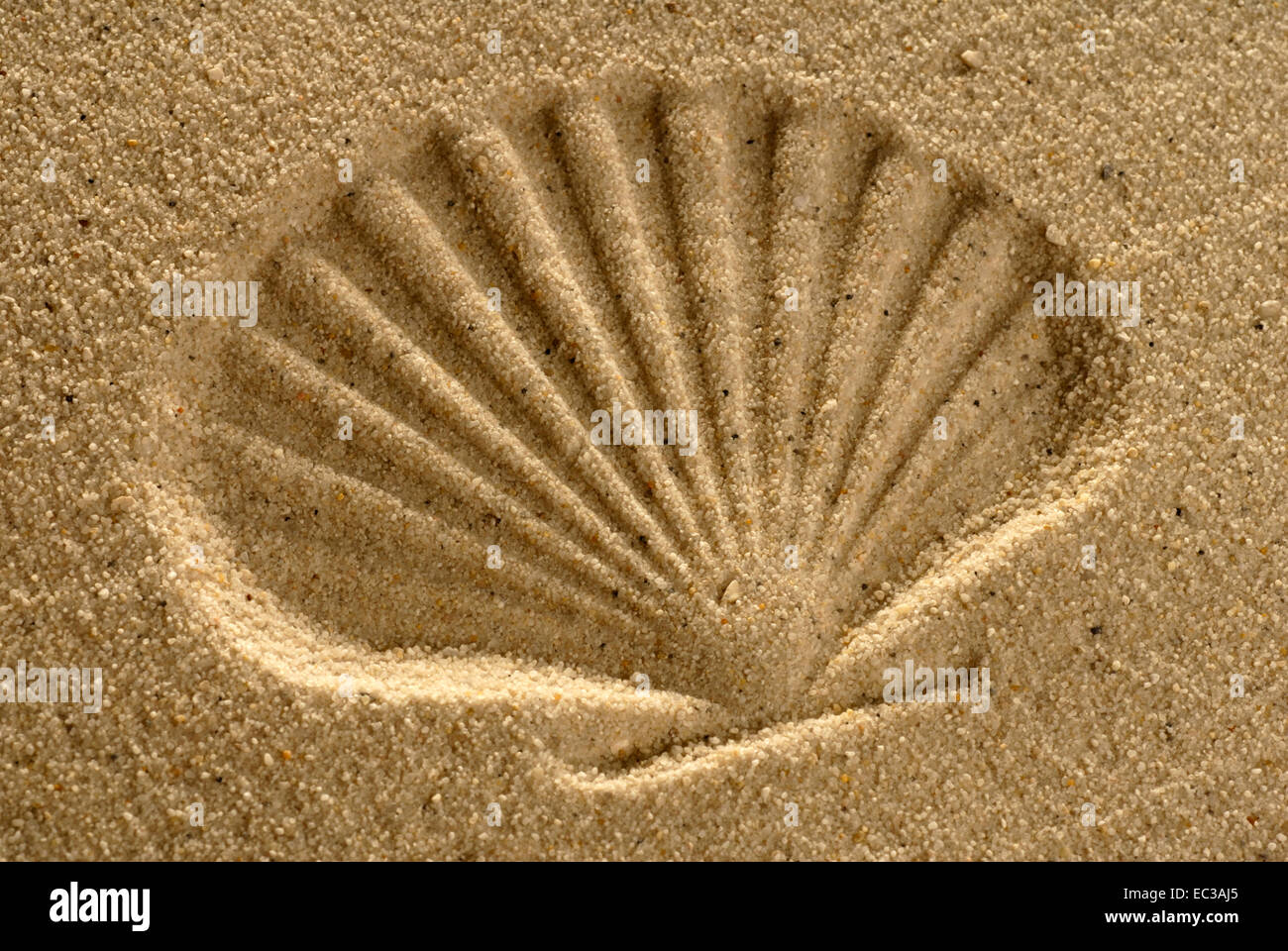 Print in sand hi-res stock photography and images - Alamy