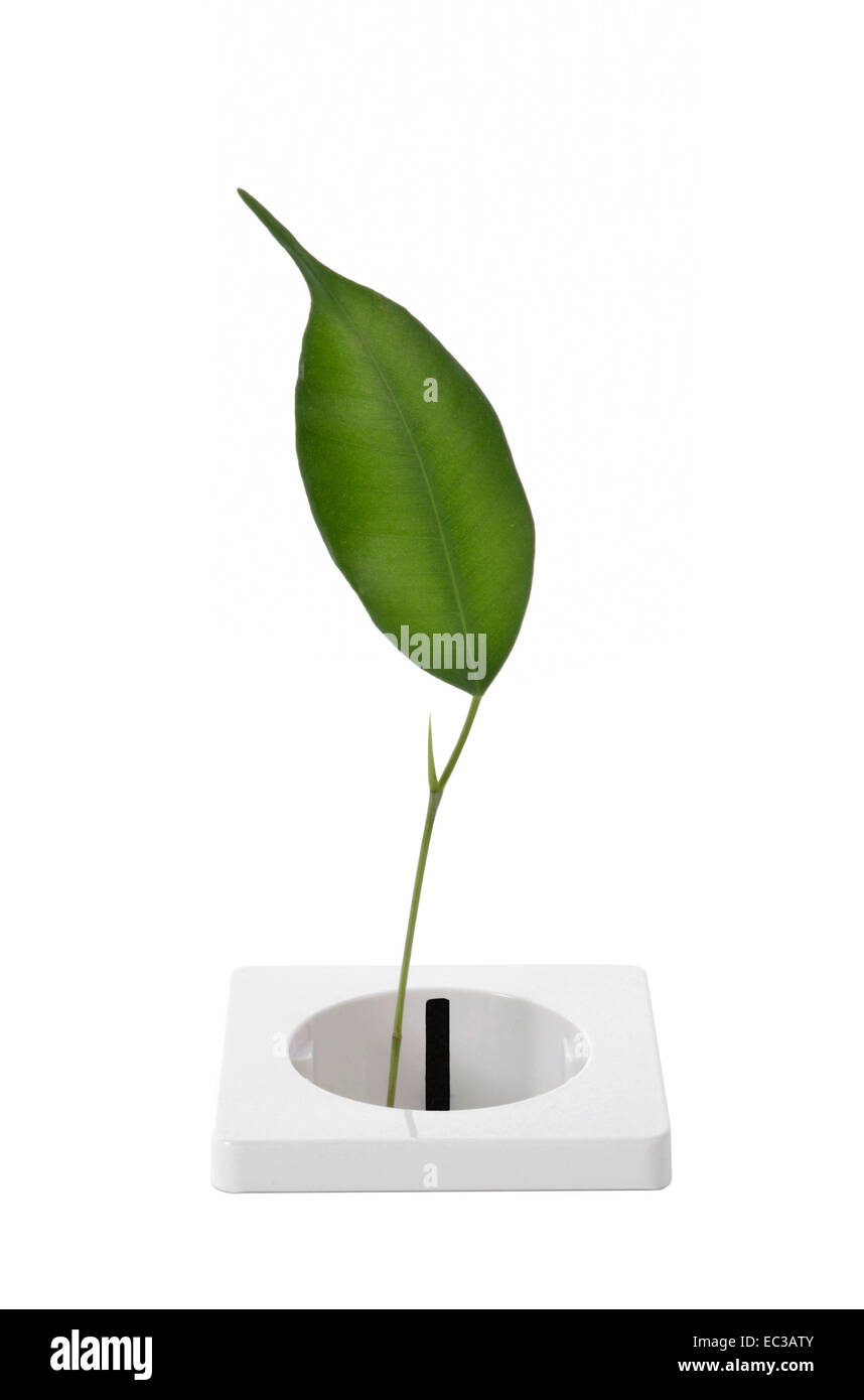 Electrical plant Cut Out Stock Images & Pictures - Alamy